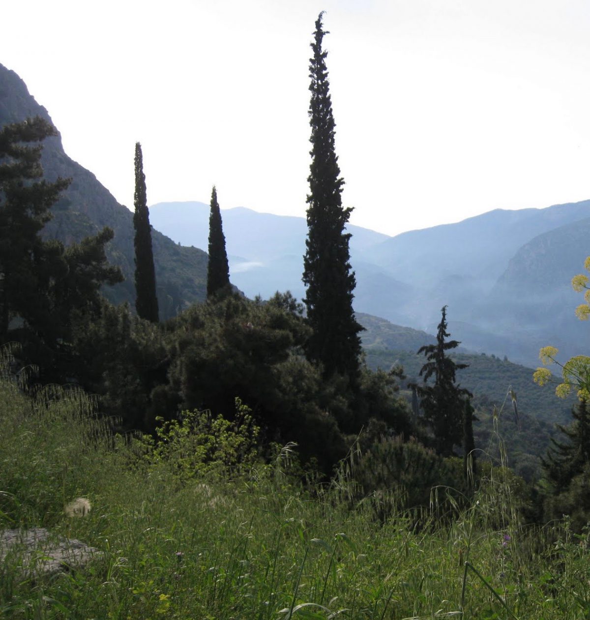 A Cry of the Earth – A Dream Experience in Delphi – Oneness of Life